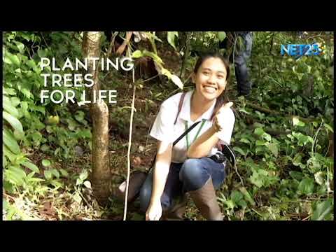 EBC Cares: Planting trees for Life